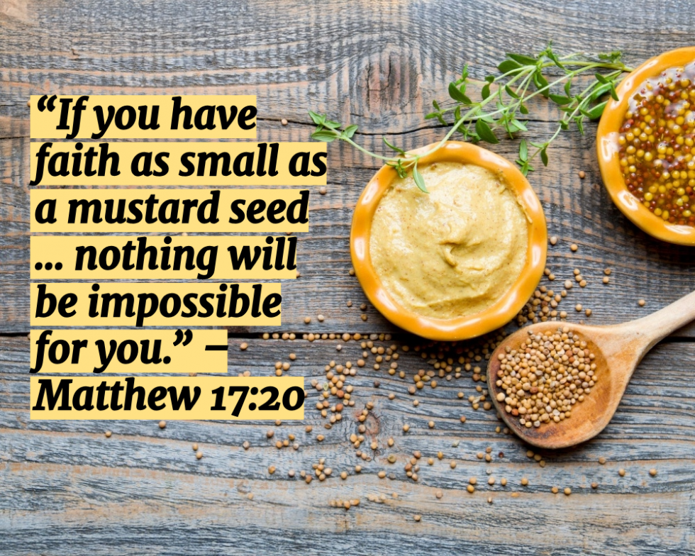 What Does Mustard Have to Do with Healthcare? Surprising Benefits and a ...